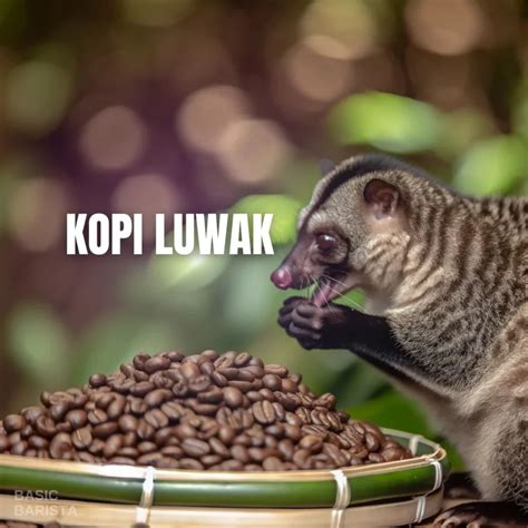 10 Surprising Facts About Coffee That Will Perk You Up