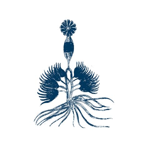 Starshield 10th Anniversary Expanded Remaster Brian Grainger