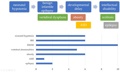 Mikrodeletionssyndrom 16p112 16p112 Duplication Syndrome Giau