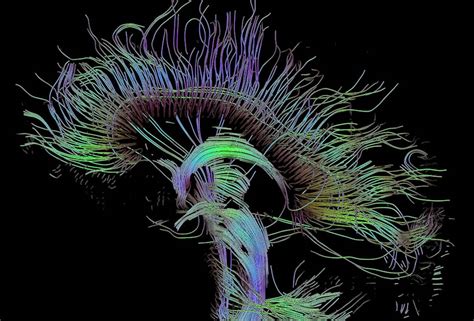 Natural Language Analysis Using Hierarchical Temporal Memory Oreilly
