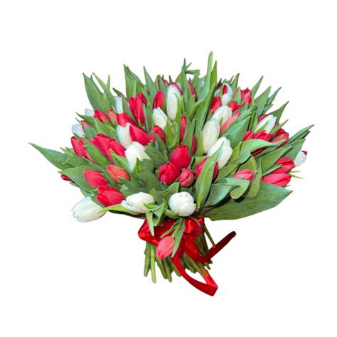 Buchet 101 Lalele De Primavara