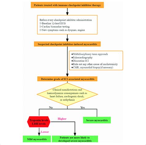 Algorithm For The Management Of Immune Related Myocarditis