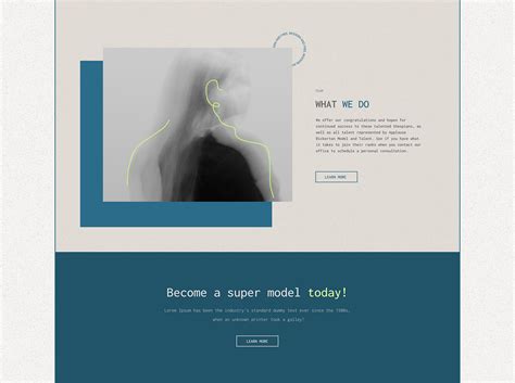 Website Redesign Behance
