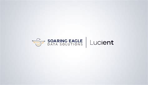 Lucient Worldwide Soaring Eagle Data Solutions Acquires Lucient Usa