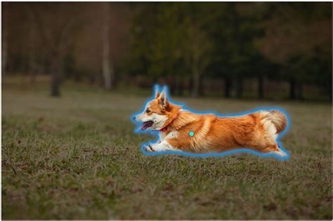 The Future Of Object Segmentation Is Here Meet Sam Farshad Firuzi