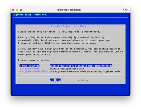 Raspberry Pi Setup Guide Step DigiNode Tools