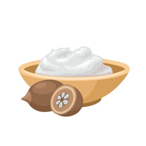 Vector Illustration Babassu Oil In A Bowl With Babassu Palm Nuts