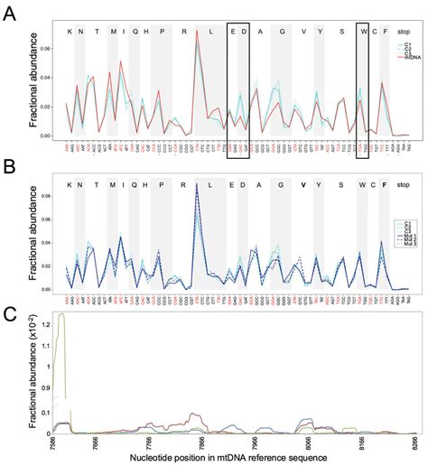 Mitochondrial Codon Usage In Control And Mutant Mitoribosome