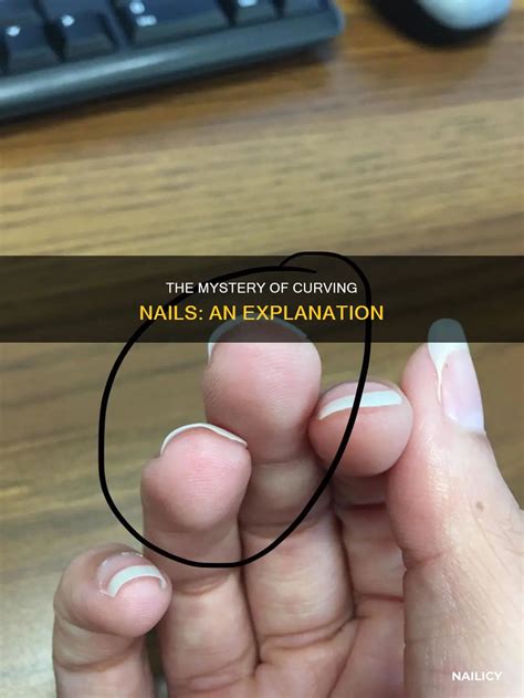 The Mystery Of Curving Nails An Explanation Nailicy