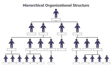 7 types of organizational structures with examples