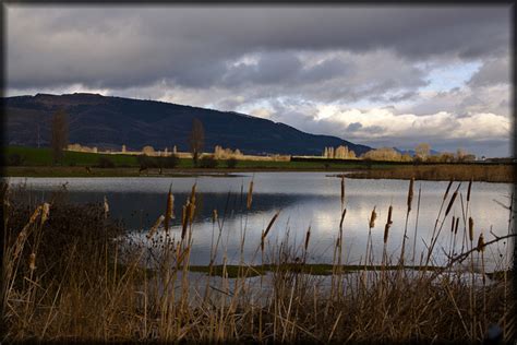 Orkoien Saludable-Orkoien Osasuntsu: Visita guiada a la balsa de Loza ...
