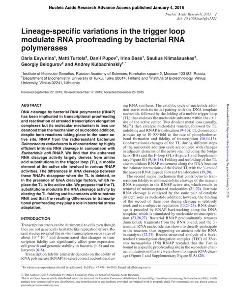 pdf lineage specific variations in the trigger loop modulate rna
