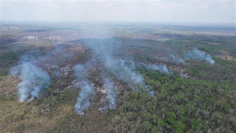 El 90 De Incendios Forestales En Campeche Son Provocados Por Humanos Poresto