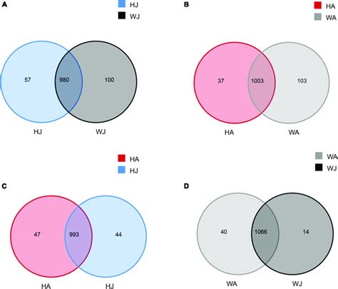 Venn Diagram The Venn Diagrams Show The Numbers Of Otus 97 Sequence Download Scientific