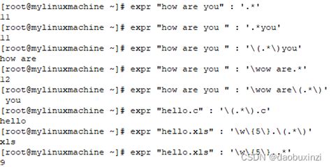 shell脚本 expr命令全解 shell expr csdn博客