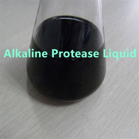 China Customized Alkaline Protease Manufacturers And Suppliers Rindazhi