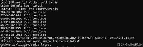 linux基本环境配置 安装docker redismysql linux docker redis 安装 csdn博客