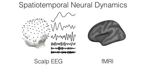 Home Long Term Memory Lab