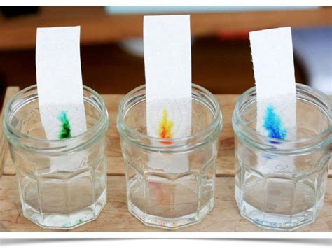 Chromatography Teaching Resources