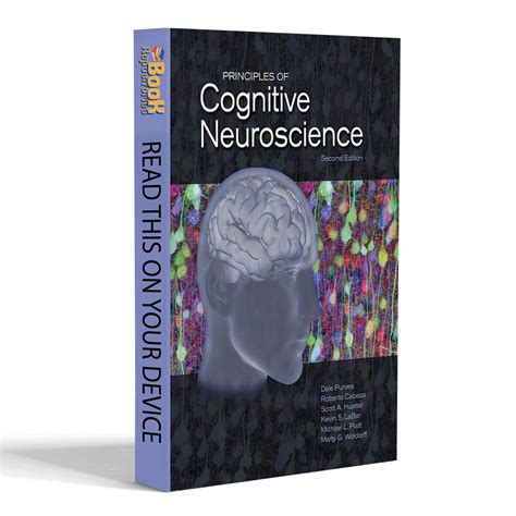 Principles Of Cognitive Neuroscience 2nd Edition 978 0878935734 Bookrepositories