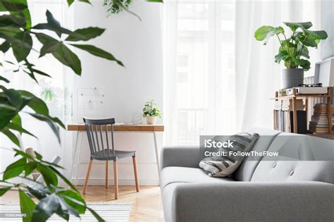 디자인 가구 회색 소파 식물 대나무 책 받침대 및 나무로 되는 책상을 가진 현대 스칸디나비아 거실 갈색 나무 마루 좋은 아파트입니다 세련 된 장식으로 꾸며져 있습니다 홈