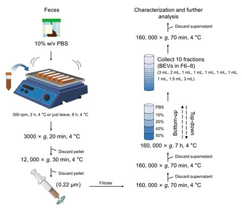 Video Author Spotlight Accelerating Research On Bacterial Extracellular Vesicles Separation