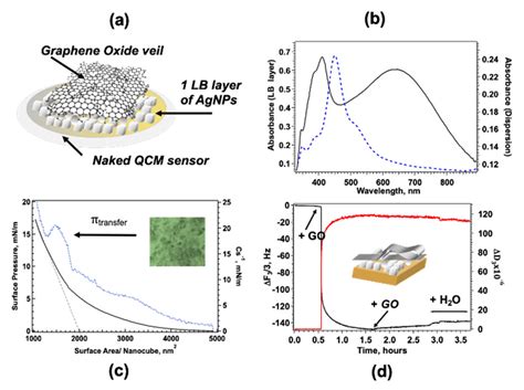 Nanomaterials Free Full Text Graphene Oxidesilver Nanoparticles Platforms For The Detection