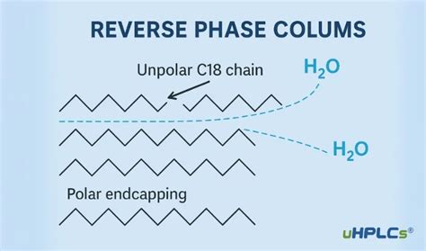 How Many Types Of Columns Used In Hplc Uhplcs