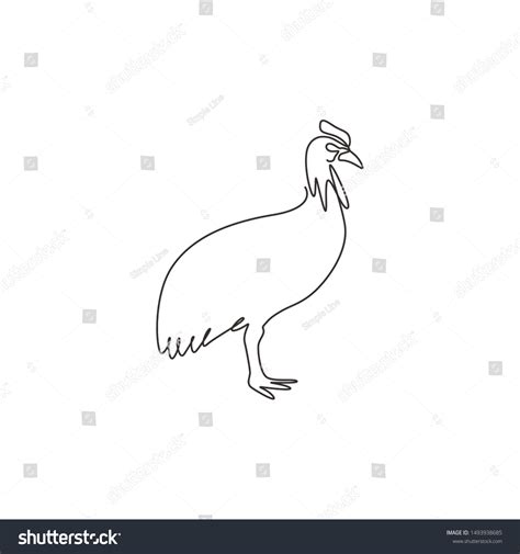Single Continuous Line Drawing Exotic Cassowary Stock Vector Royalty