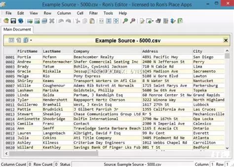 Win Rons Csv Editor Csv 文件编辑器 202305191414 特别版 Windows软件 红杏下载