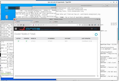 New To Onos Clustering