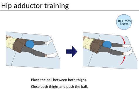 Shoulder Scapular Plane Elevation Physio Visuals Illustrated