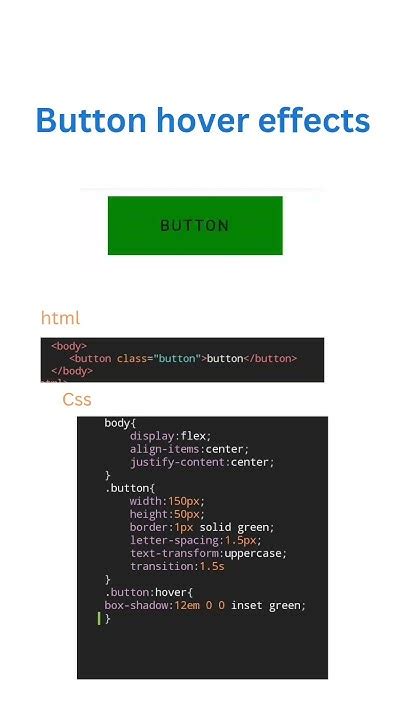 Button Hover Effects Html Webdesign Css Frontend Webdevelopment Frontendcoding Html5