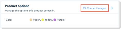 Wix Stores Adding Images GIFs And Videos To Products Help Center Wix