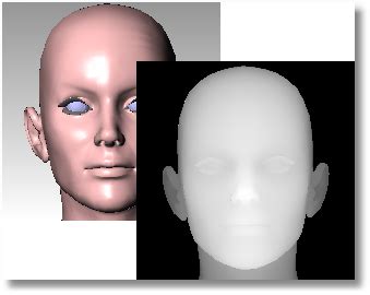 Viewport Display Modes Rhinoceros