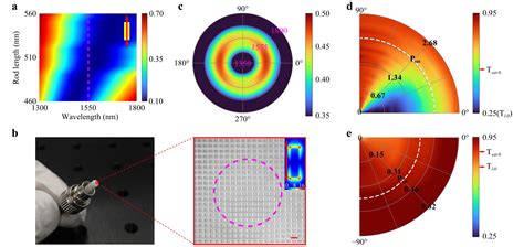 ‘plug And Play Plasmonic Metafibers For Ultrafast Fibre Lasers