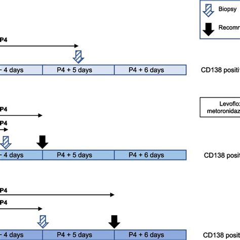 Scheme Of The Timing Of Endometrial Sampling And The Recommended Window