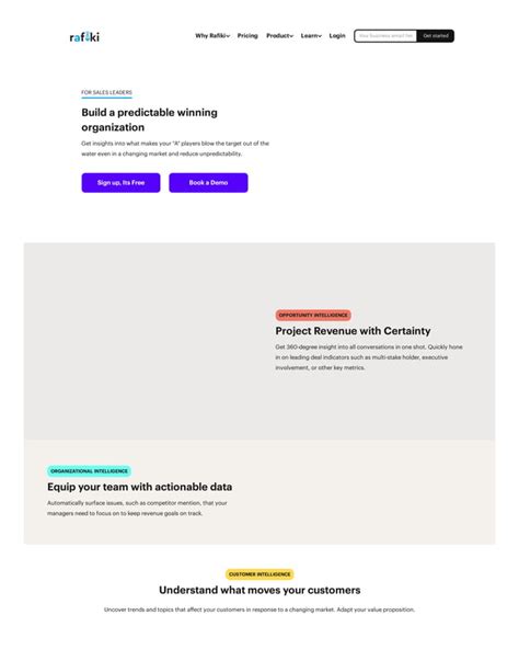 Why Rafiki Sales Leaders Pdf