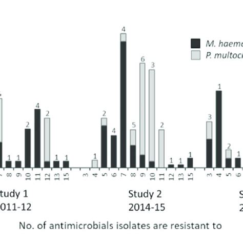 Multidrug Resistance In Mannheimia Haemolytica And Pasteurella