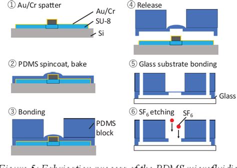 Figure 5 From In Vitro Microfluidic Model For Sepsis Associated Acute