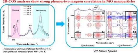 Two Dimensional Correlation Spectroscopy Analysis Of Raman Spectra Of
