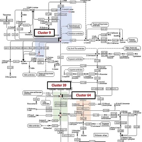 Metabolite Clusters Mapped Within The Cysteine And Methionine