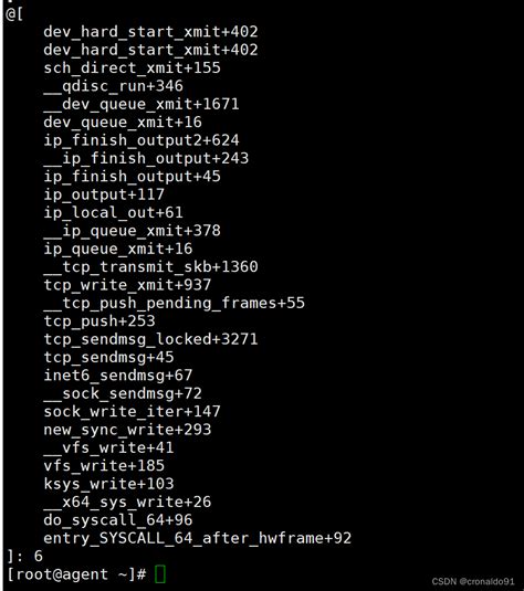 性能分析与调优 Linux 网络性能 观测工具 Csdn博客