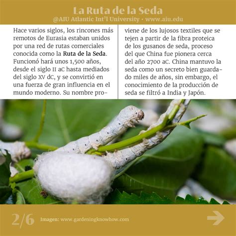 La Ruta De La Seda Por Qué Fue Tan Importante Atlantic International