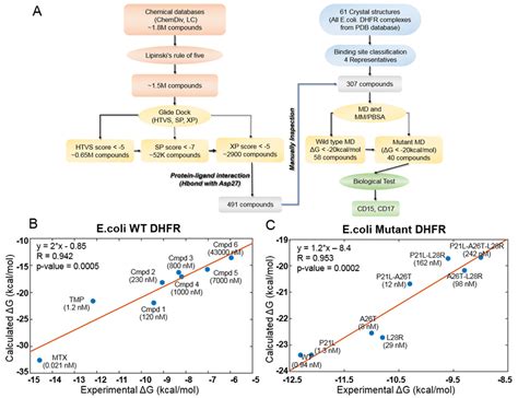 Computational Design Of Broadly Neutralizing Dhfr Inhibitors Effective