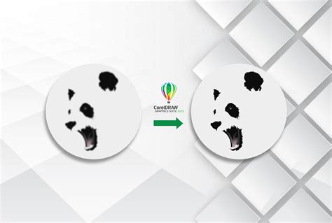 Coreldraw Vs Photoshop Rooflimfa