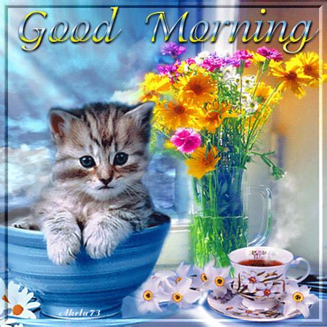 Cute Good Morning Cat Gif Pictures Photos And Images For Facebook Tumblr Pinterest And Twitter