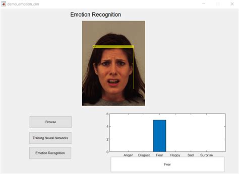 Facial Emotion Recognition Using Deep Learning Matlab