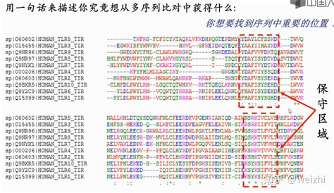 山东大学生物信息学学习笔记5—多序列比对及其工具 知乎