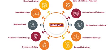 Histology Laboratory Information System Novopath Lis
